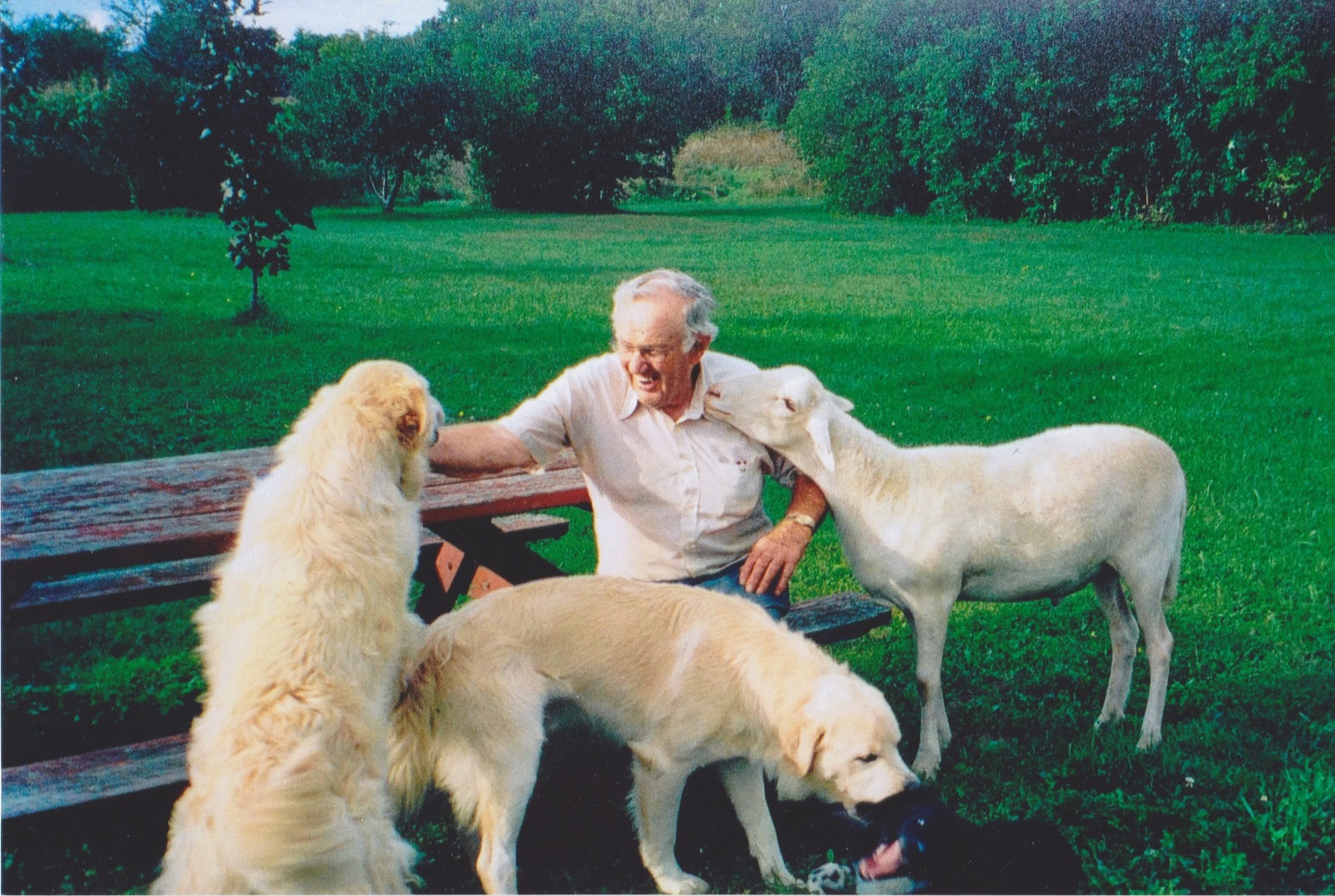 Pets & Small Animals – Cleary Feed & Seed